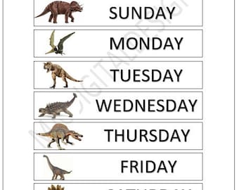 Pokemon Days of the Week - Etsy