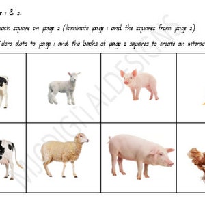 Farm Animal Bundle - Etsy