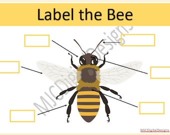 Label the Pig - Etsy