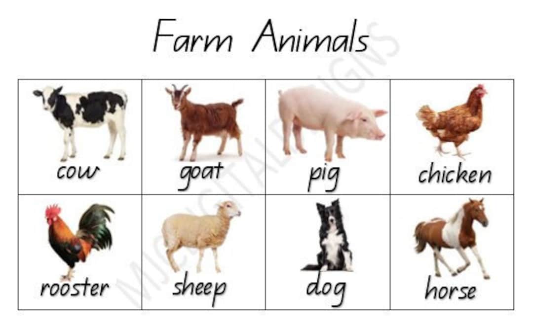 Farm Animal Bundle - Etsy