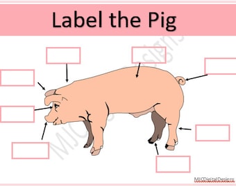 Label the Pig | Parts of a Pig | Learning Activity for Kids | Download ...
