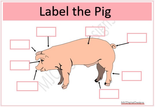Label the Pig - Etsy