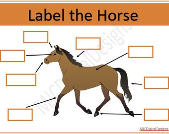 Label the Pig - Etsy