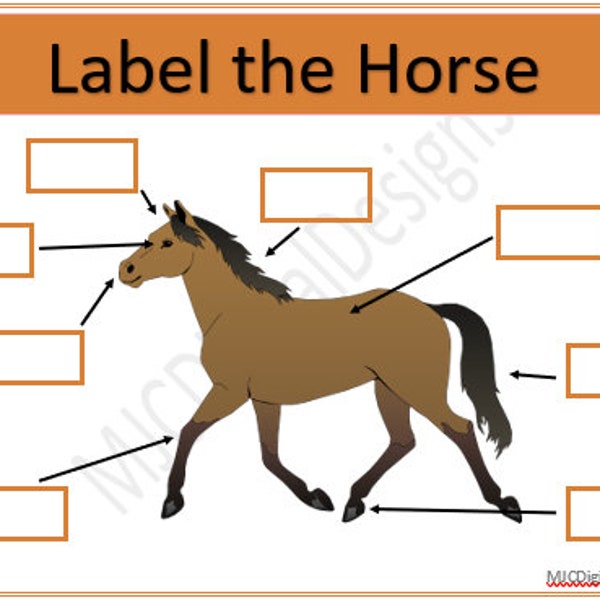 Superhero Days of the Week - Etsy