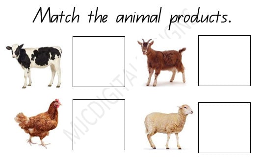 Farm Animal Bundle - Etsy