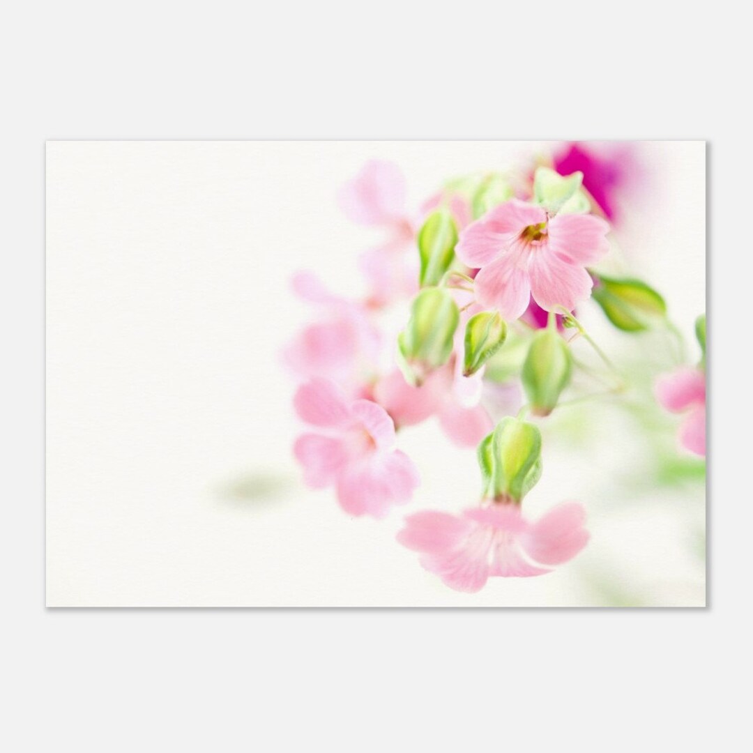 A4 Archival Photo Print pink Flowers, on Matte Paper - Etsy