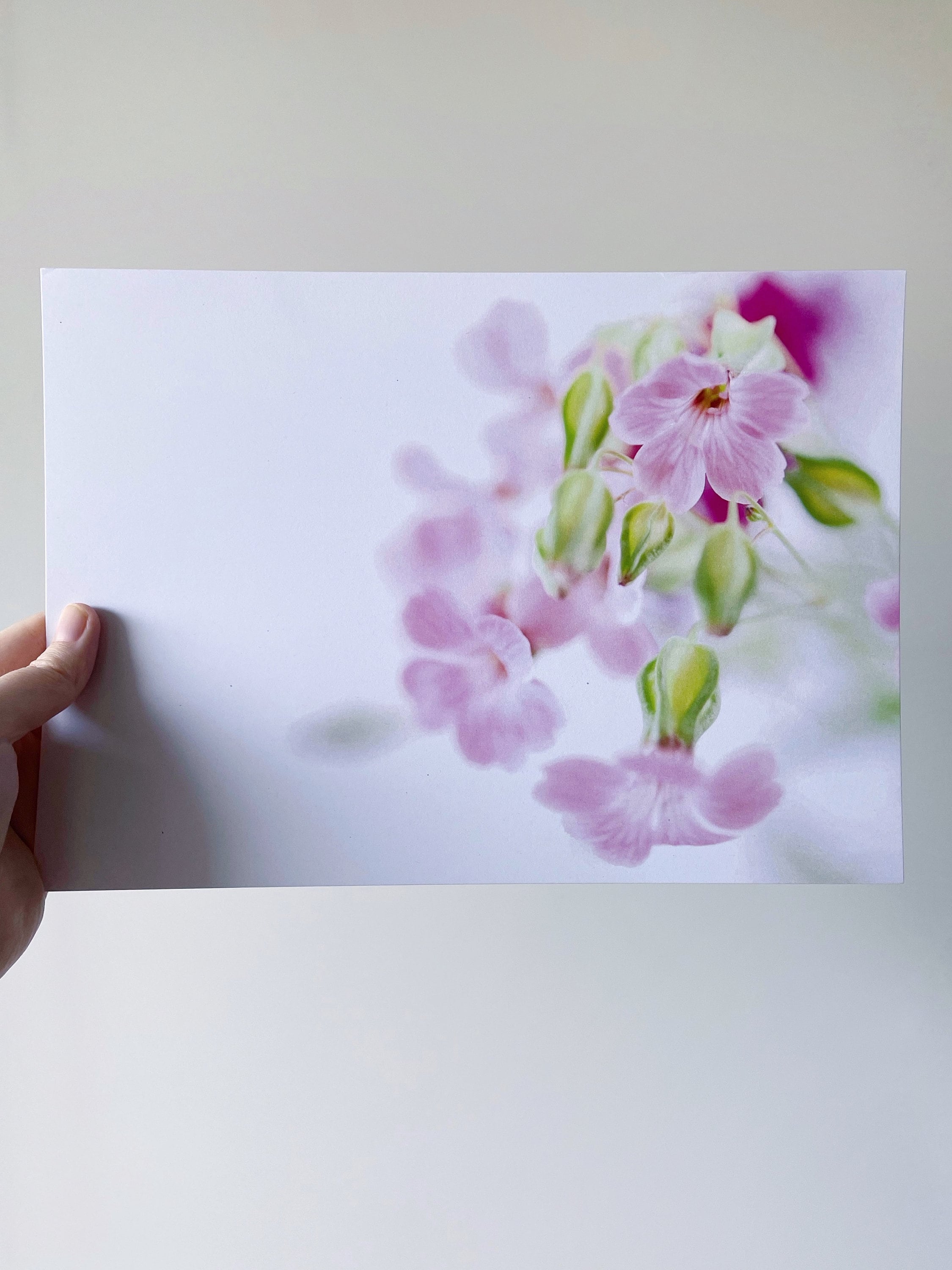 A4 Archival Photo Print pink Flowers, on Matte Paper - Etsy