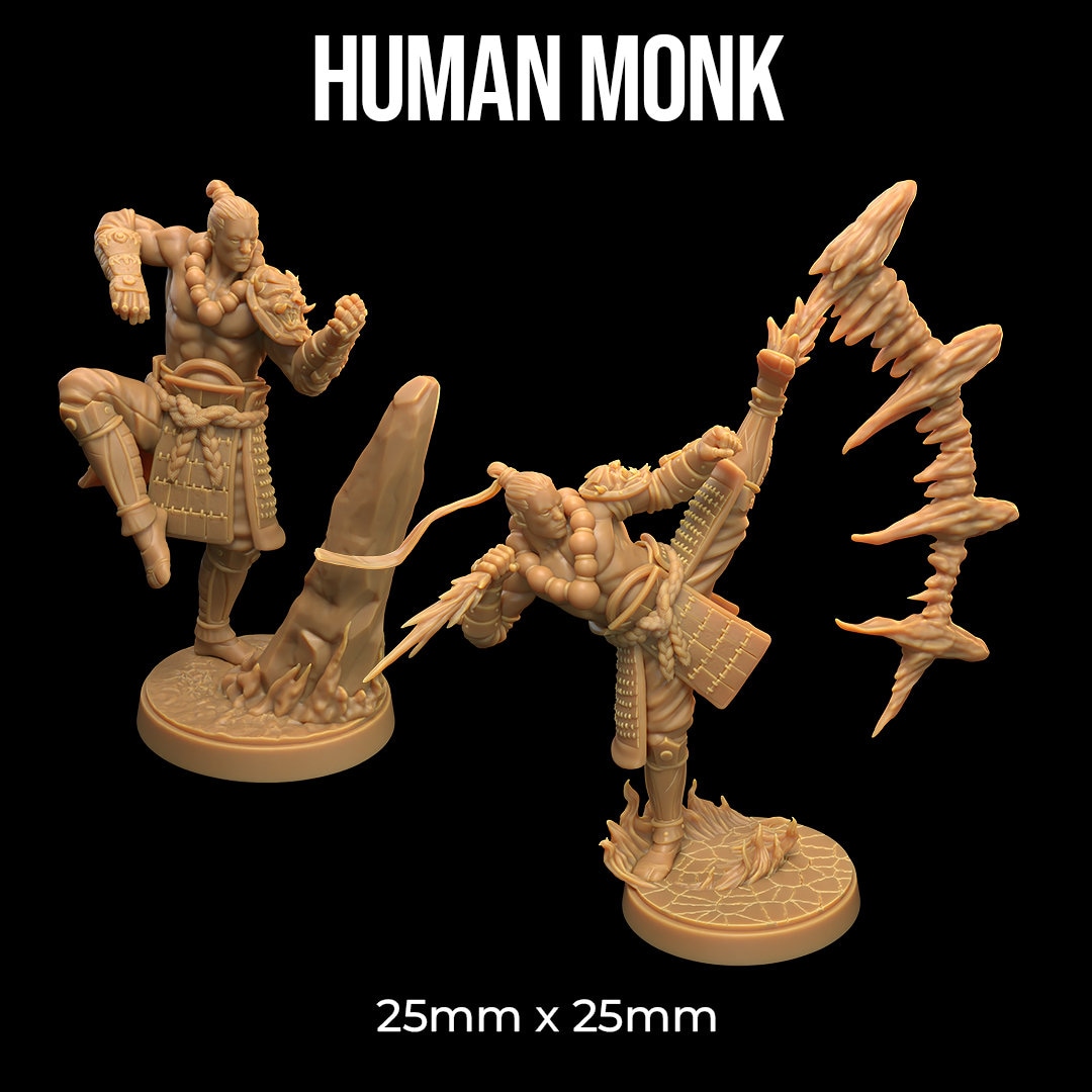 Human Monk RPG Miniature for Dungeons and Dragonspathfindertabletop ...