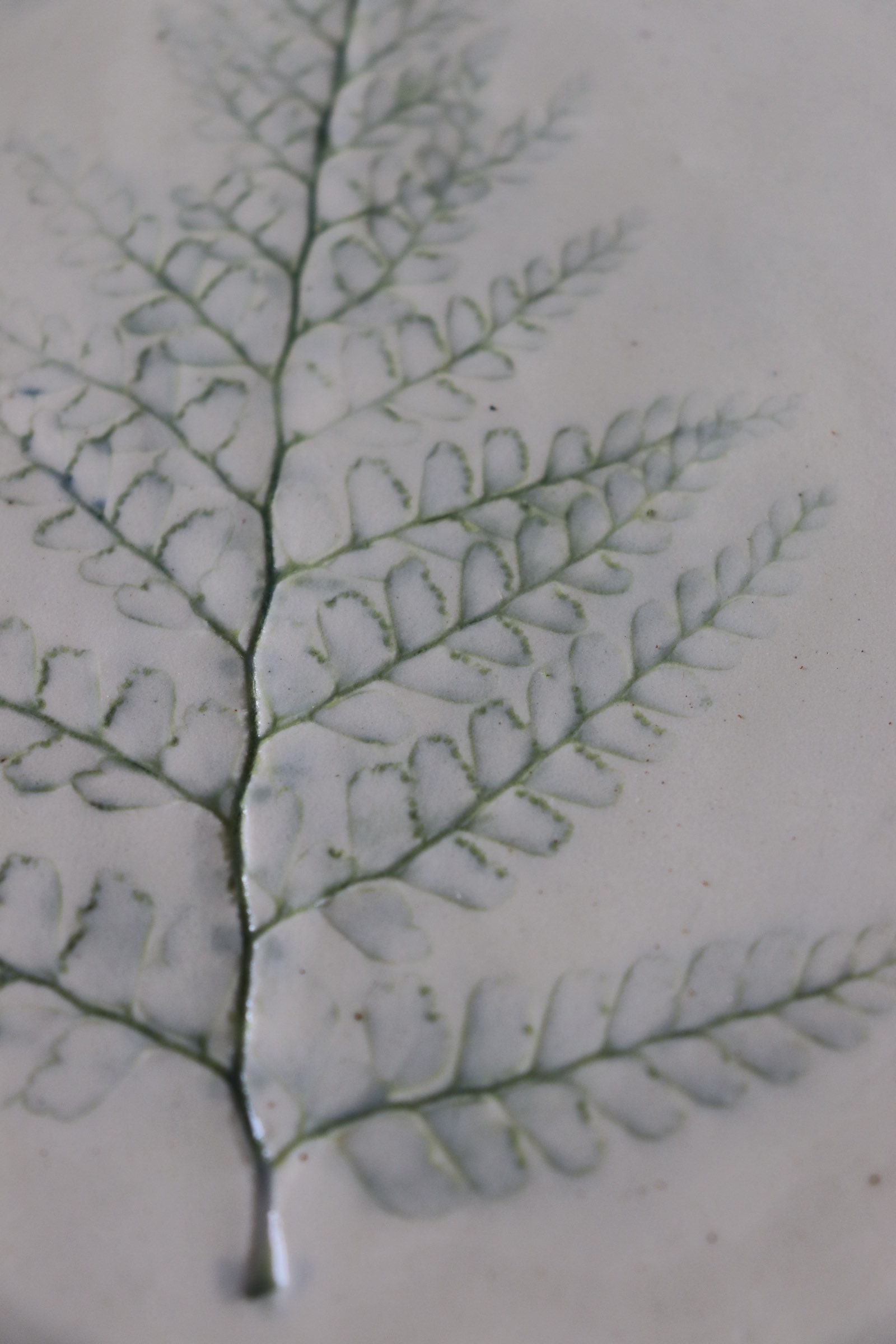 Maidenhair Fern Plate - Fern Leaves - Porcelain - Pottery - Dinnerware ...