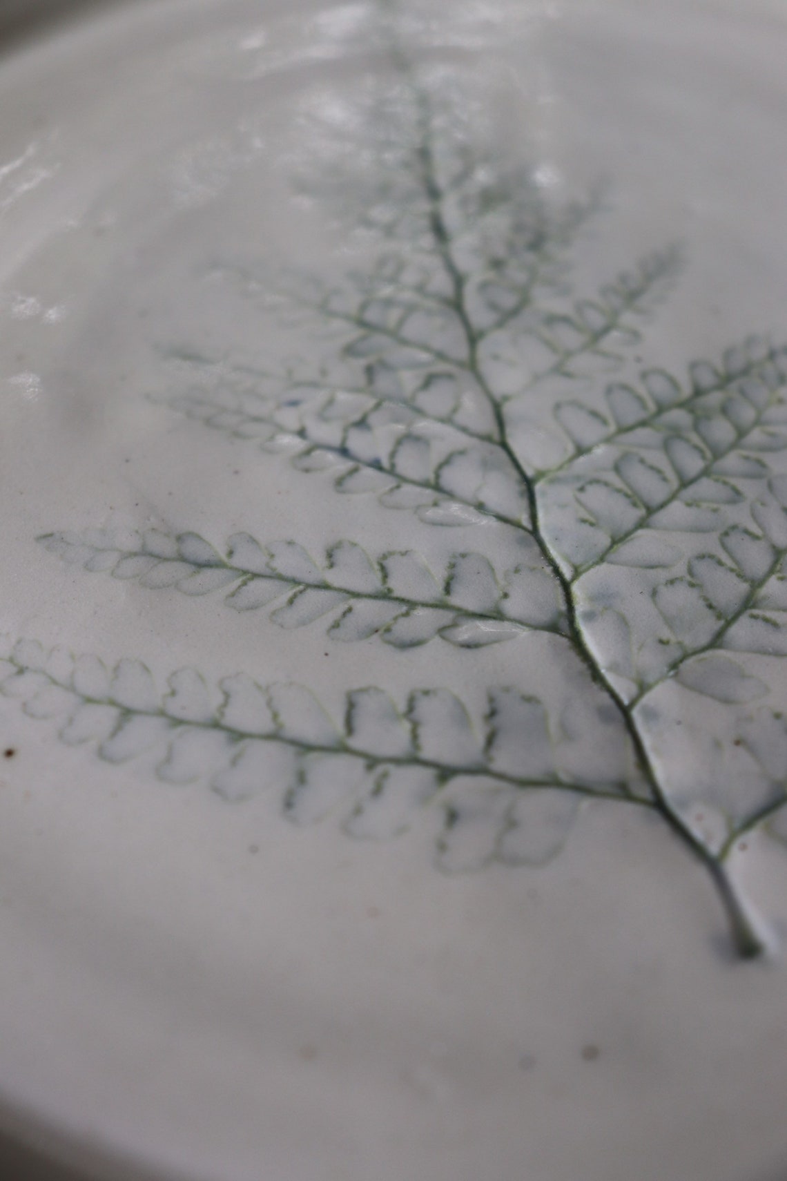 Maidenhair Fern Plate Fern Leaves Porcelain Pottery Dinnerware ...