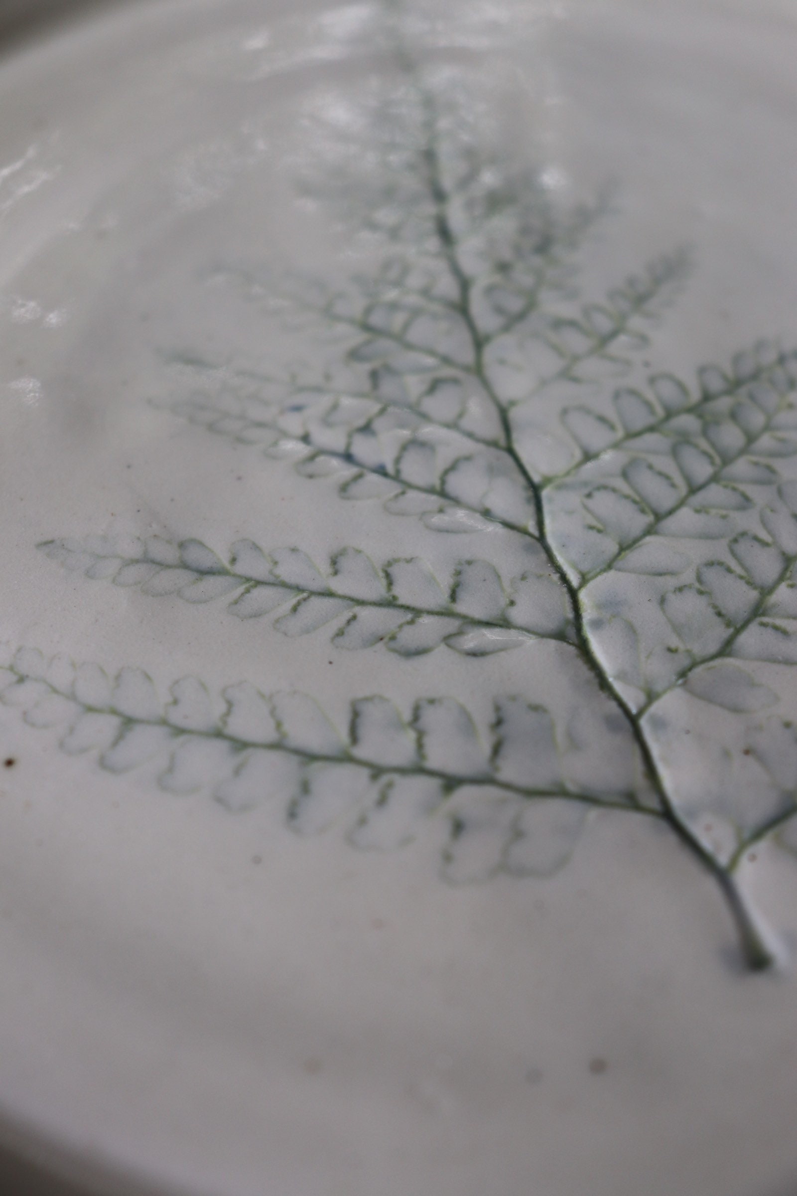 Maidenhair Fern Plate - Fern Leaves - Porcelain - Pottery - Dinnerware ...