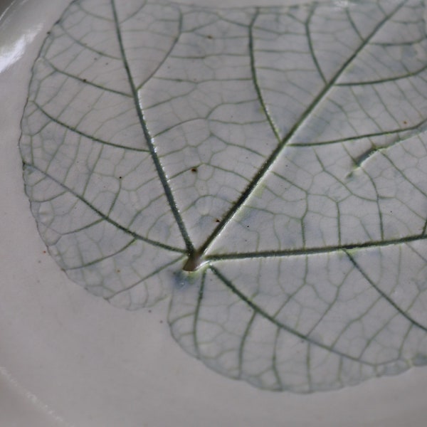 Botanical Plates - Etsy