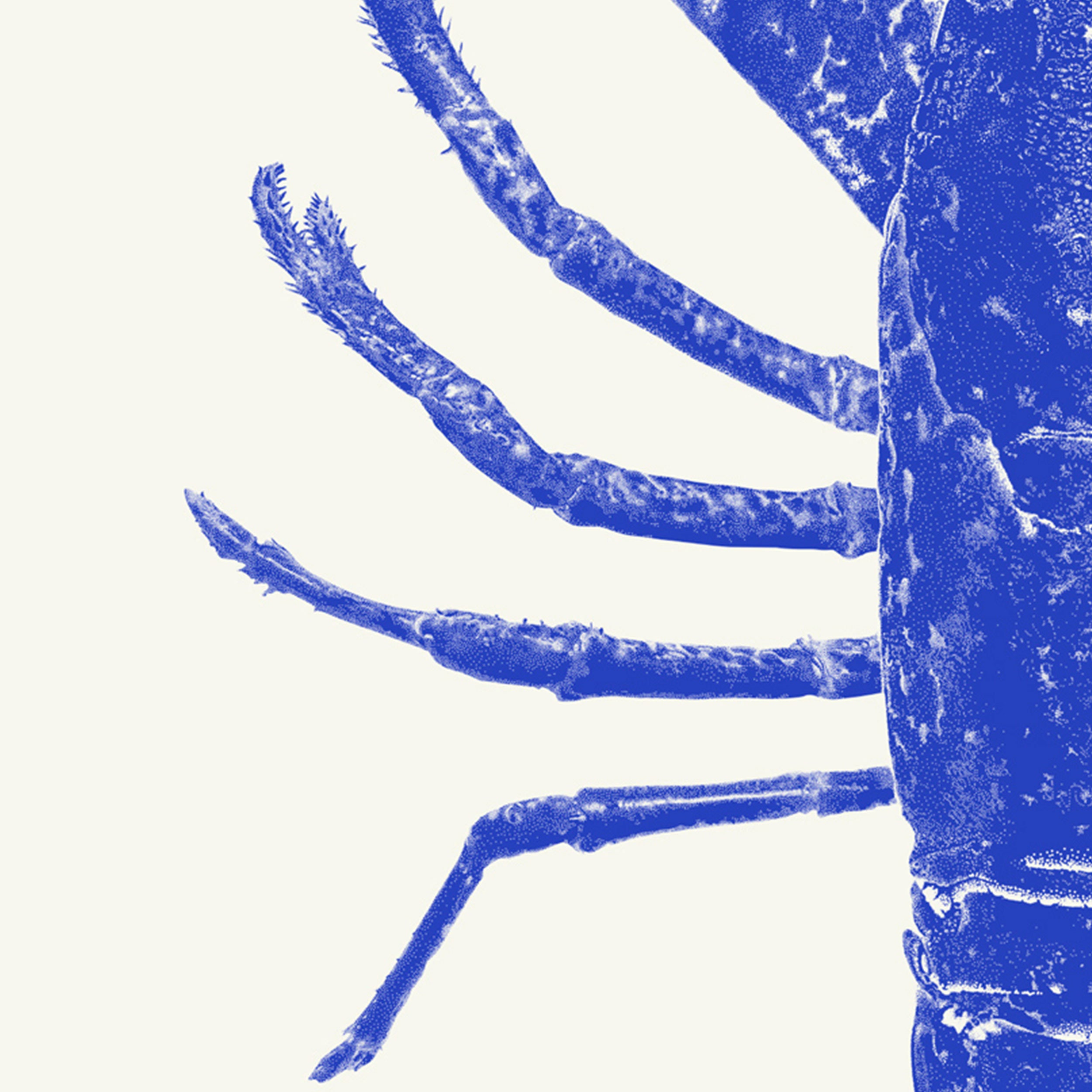 Breton LOBSTER Poster, Blue KLEIN Color, 12x16 Inch, Dot Drawing ...