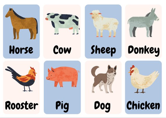 Farm Animal Flashcards for Babies and Toddlers | Etsy