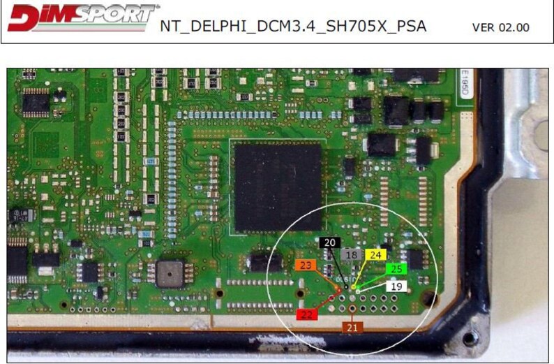 BIG Database Pinout Dimsport-trasdata - Etsy
