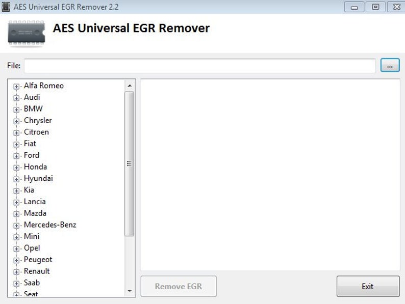 7 Software to Disable Fap-egr-lambda-adblue-start-stop-flaps-fault Code ...