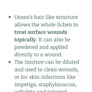 Usnea, Beard Lichens, Old Man's Beard, String of Sausages Lichen - Etsy