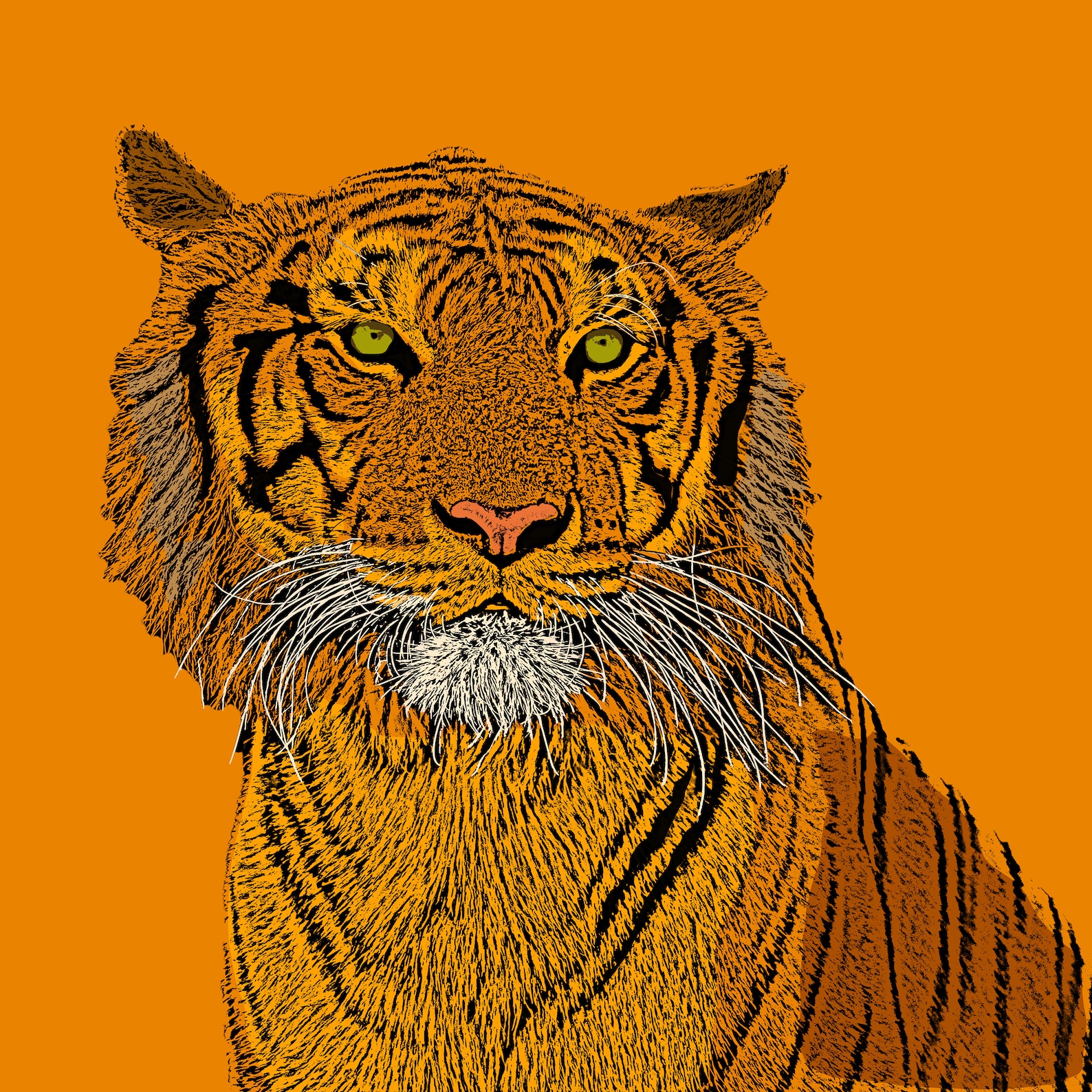 Sunda Tiger Endangered - Etsy