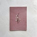 Pressed Flower Card / Floral Card / Real Flower Card / Greeting Card ...