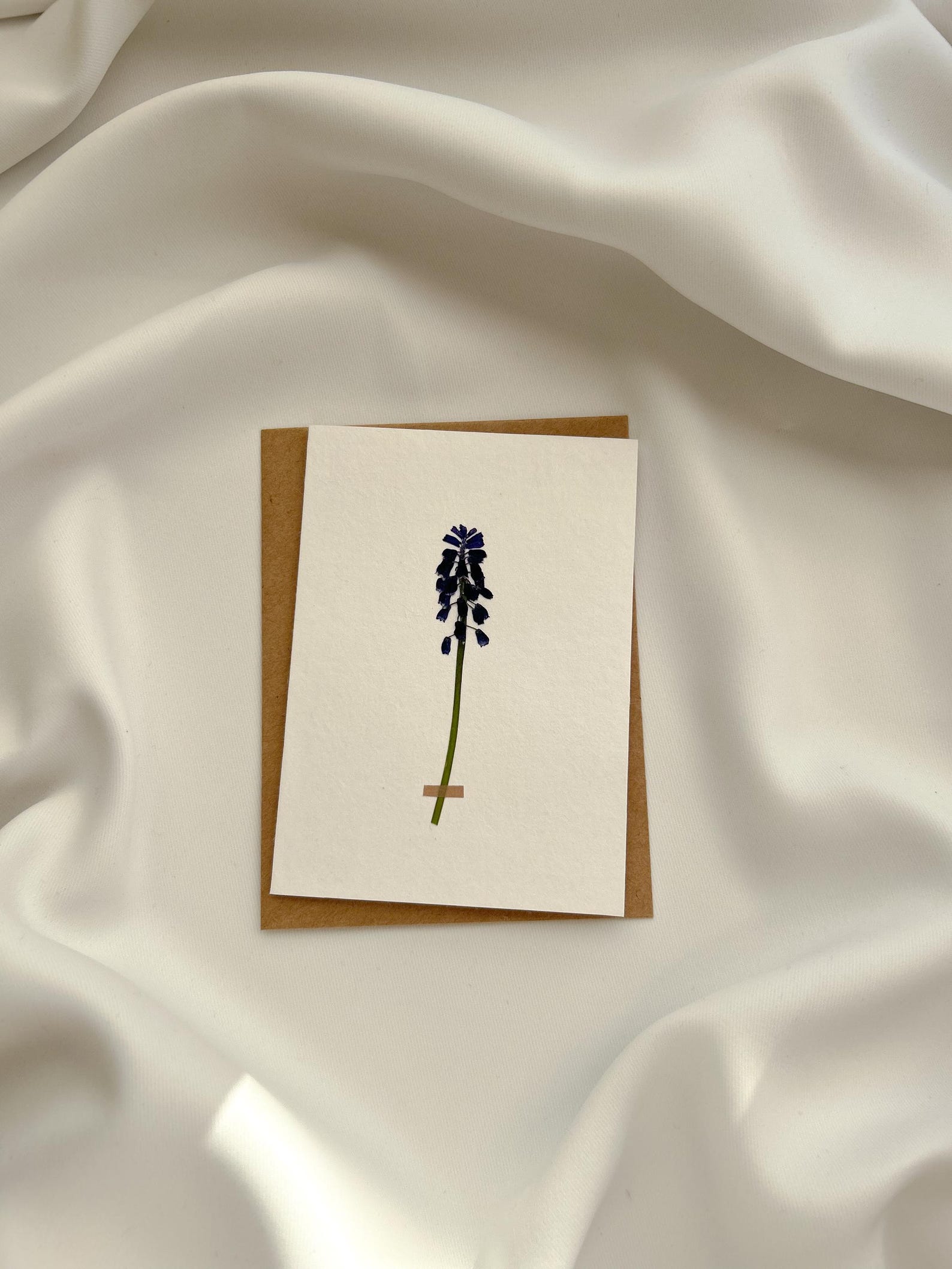 Pressed Flower Card / Floral Card / Real Flower Card / Greeting Card ...