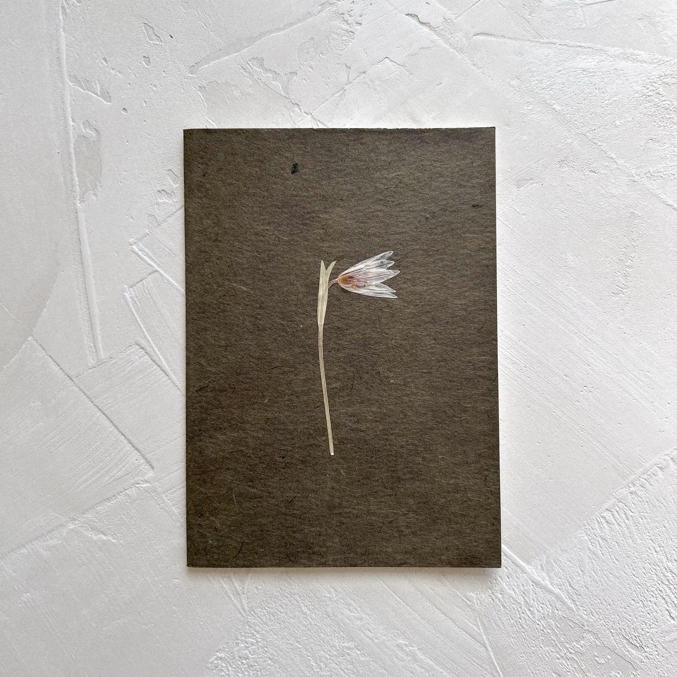 Pressed Flower Card / Floral Card / Real Flower Card / Greeting Card ...