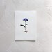 Pressed Flower Card / Floral Card / Real Flower Card / Greeting Card ...