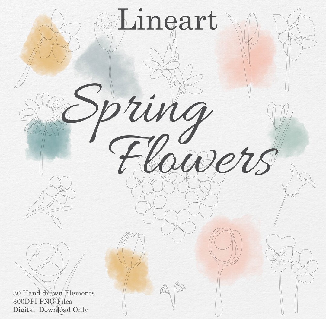 Spring Flower Lineart Clipart - Etsy