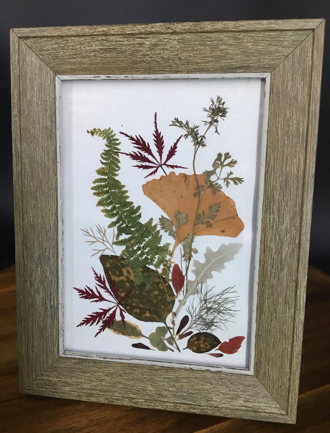 Pressed Leaf Art - Etsy