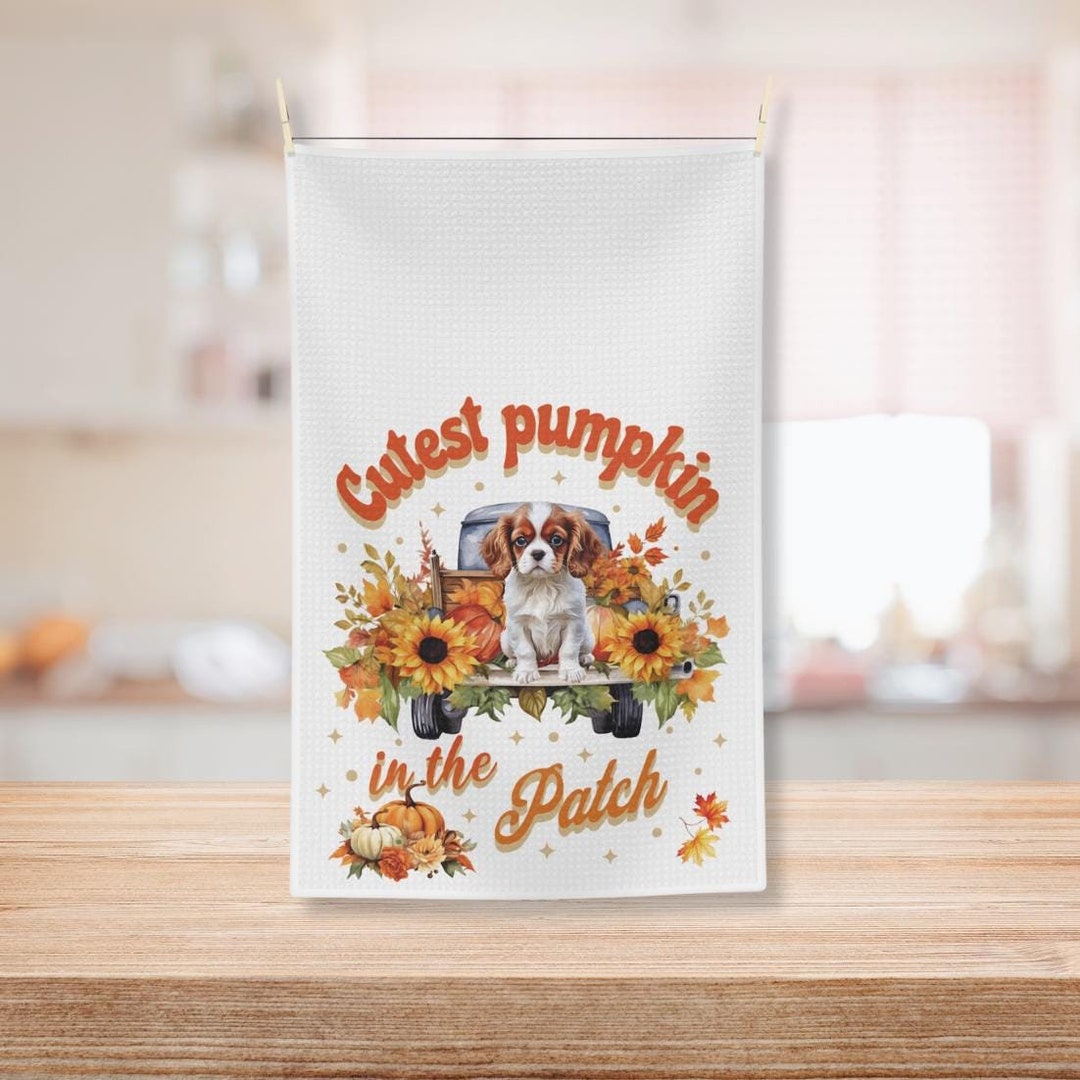 Cavalier King Charles Spaniel Kitchen Decor Cavalier Decor Pumpkin ...