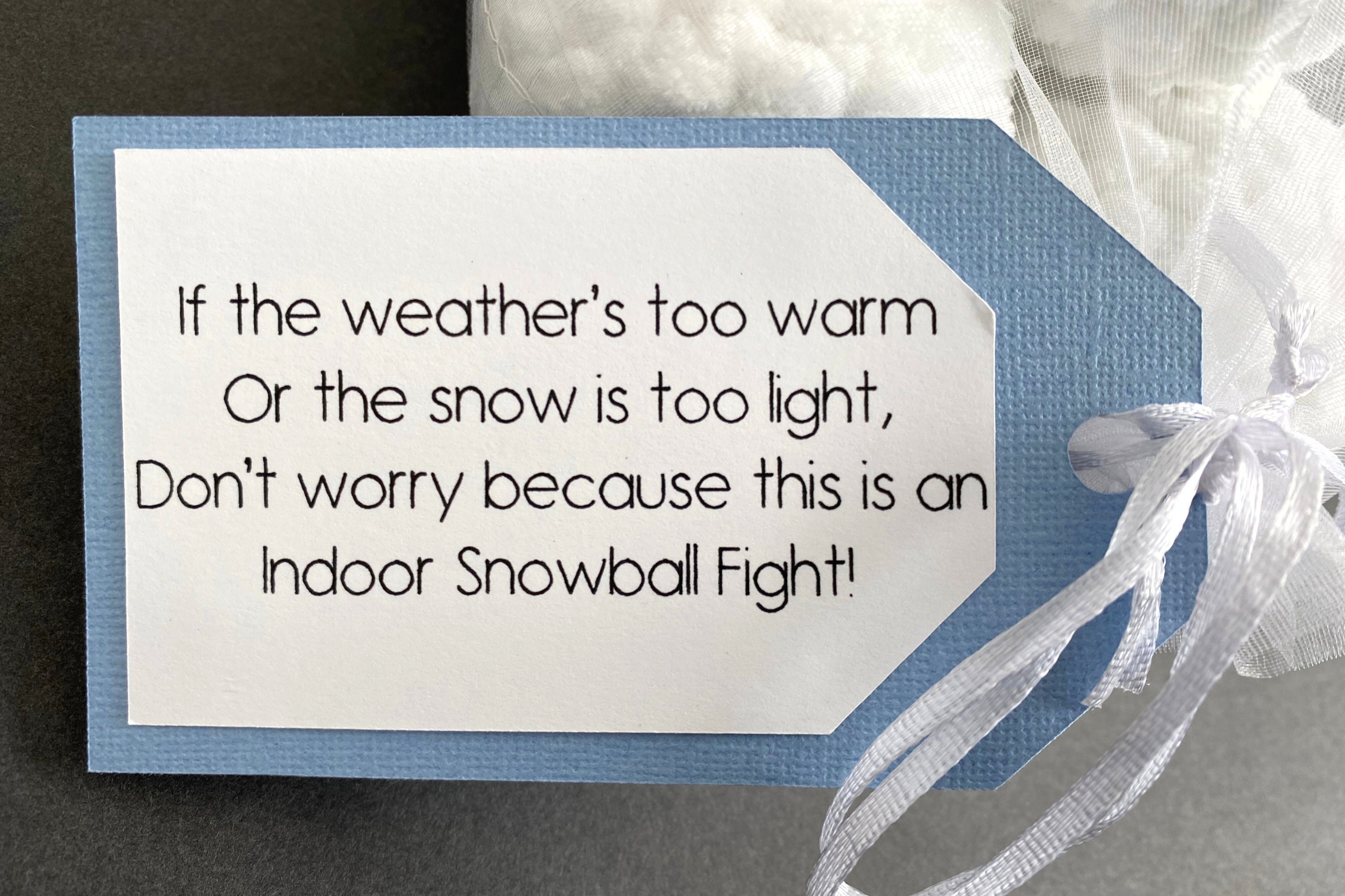 Indoor Snowball Fight Kit Set of 8 Plush Snowballs for Indoor Snowball ...