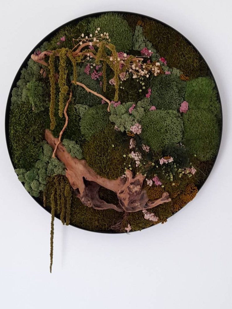 Round Moss Wall Art Round Moss Decor Preserved Moss & Plants - Etsy