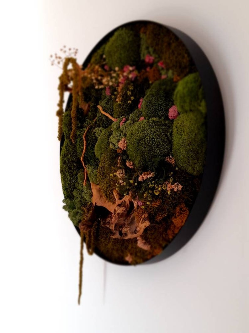 Round Moss Wall Art Round Moss Decor Preserved Moss & Plants - Etsy