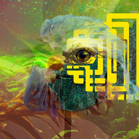 Bird's Eye View | Etsy