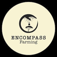 All Natural Encompass Oil - Natural Skin Care Moisturizer Oil for Body ...