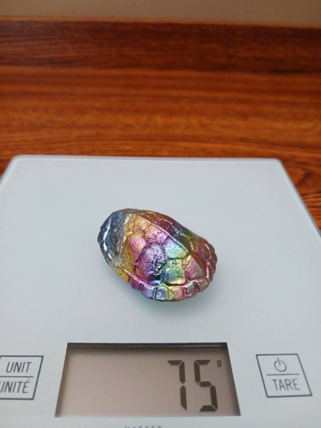 Bismuth Turtle Shell Etsy