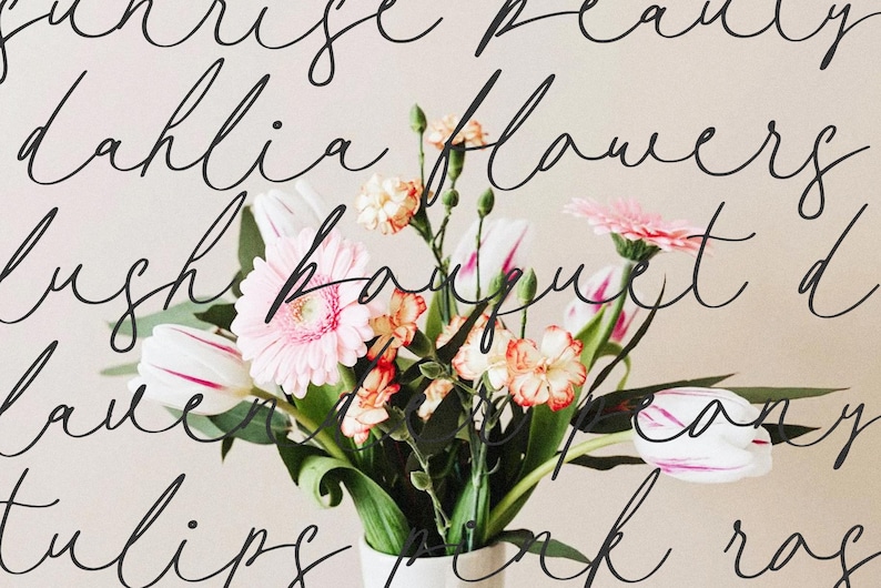 Harley Font, Modern Script Font, Wedding Fonts, Logo Fonts, Canva Font ...