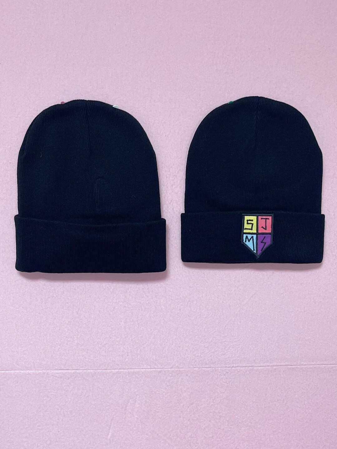 Amphibia School Logo Beanie. - Etsy