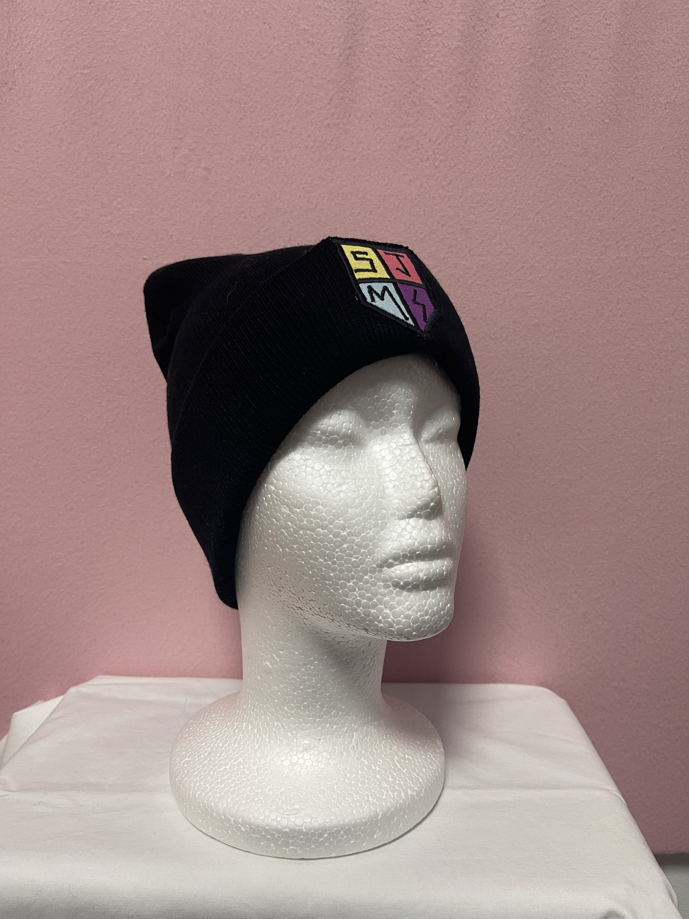 Amphibia School Logo Beanie. - Etsy