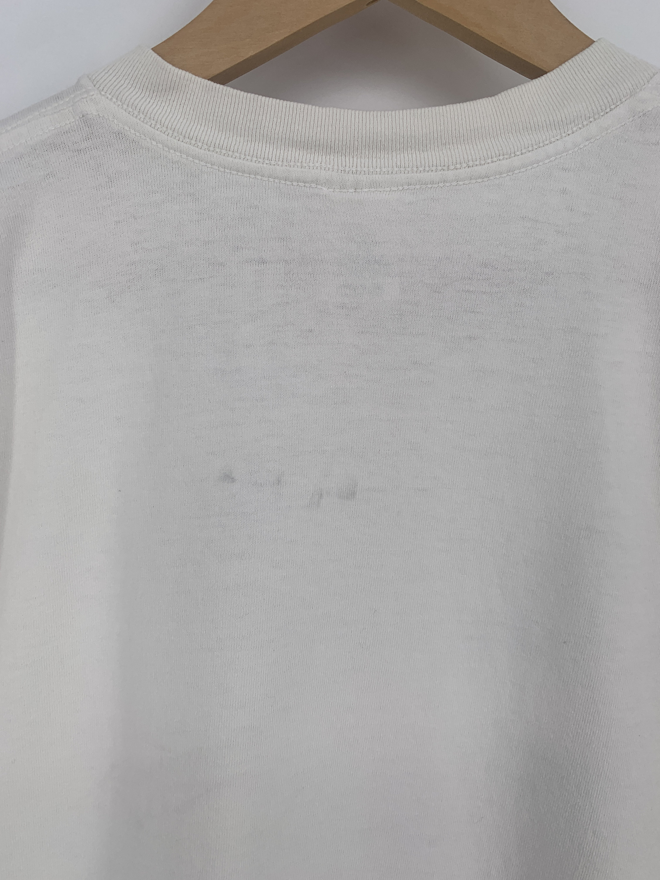 Vintage the Far Side Mosquito Comic Strip Art Tee, Pull Out Betty, Size ...