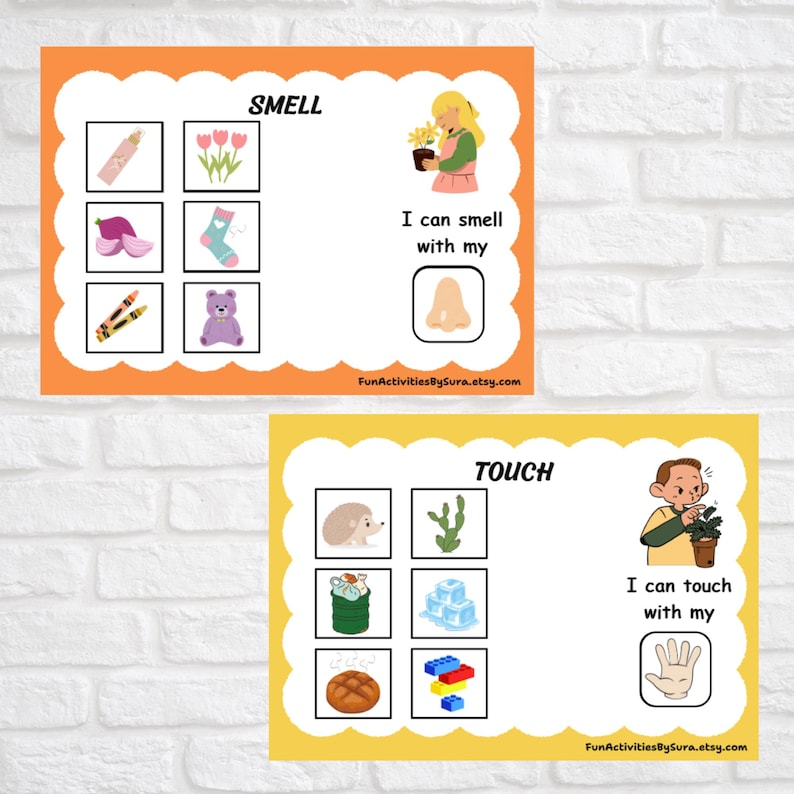 Five Senses Sorting Activity Printable, 5 Senses Sorting, Homeschool ...