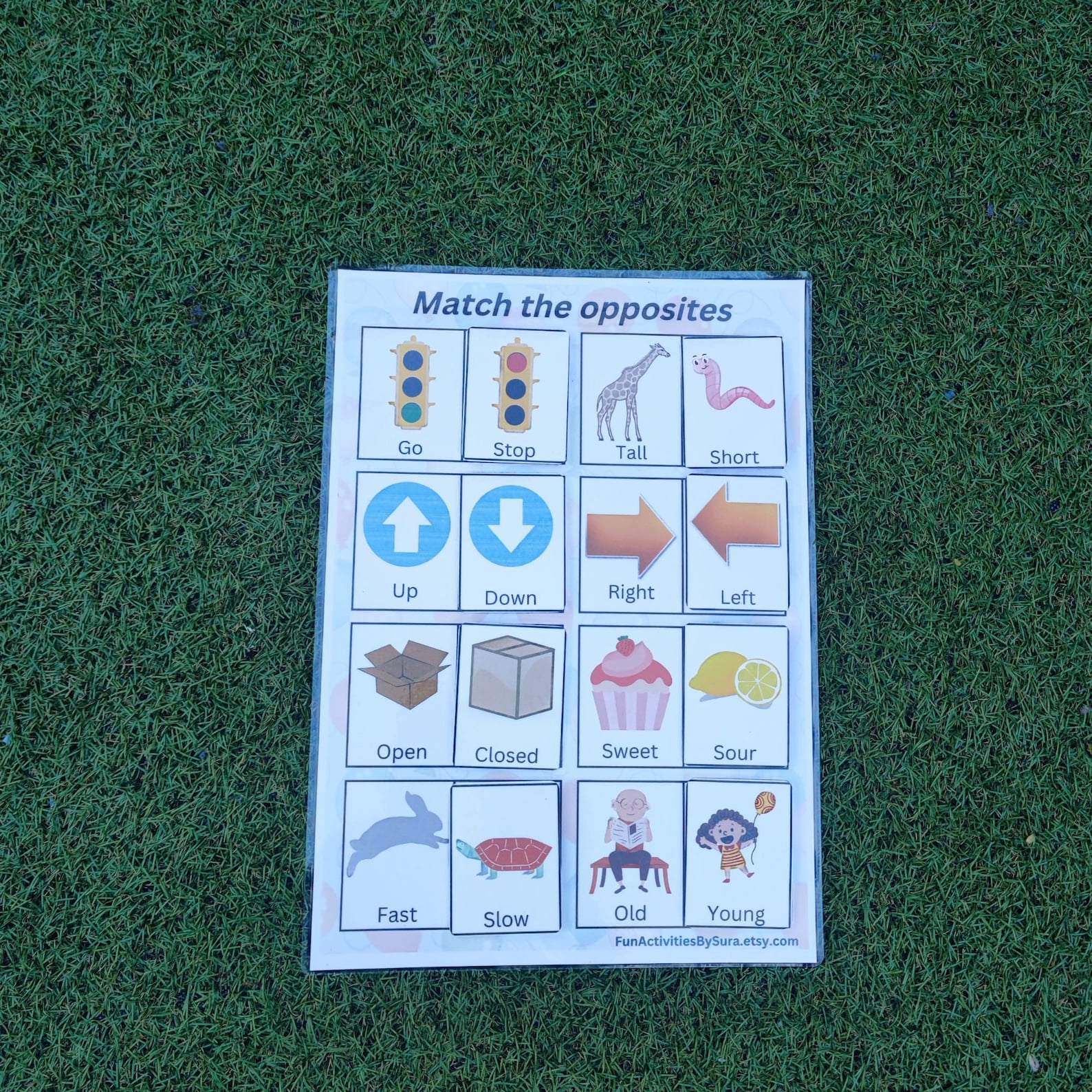 Opposites Matching Activity, Preschool, Kindergarten, Nursery, Special ...