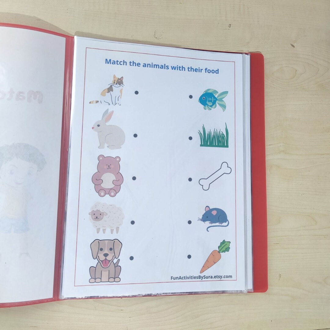 Matching Activity Book Match the Shapes Animals and Their - Etsy