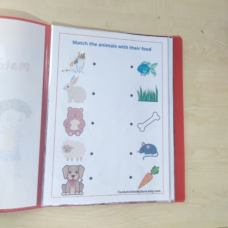 Matching Activity Book Match the Shapes Animals and Their - Etsy