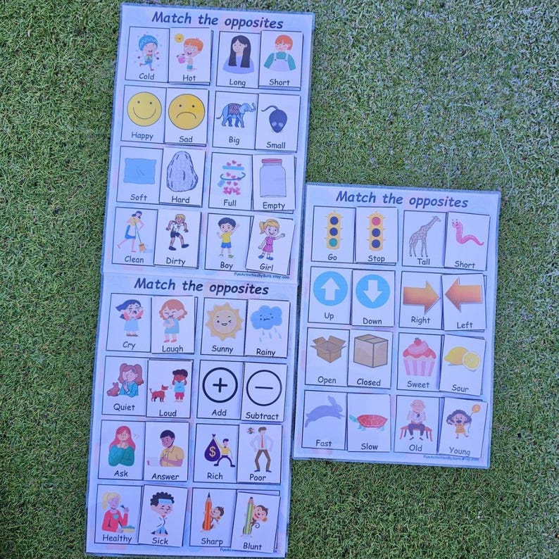 Opposites Matching Activity, Preschool, Kindergarten, Nursery, Special ...