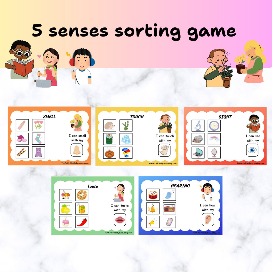 Five Senses Sorting Activity Mats, 5 Senses Sorting, Homeschool ...