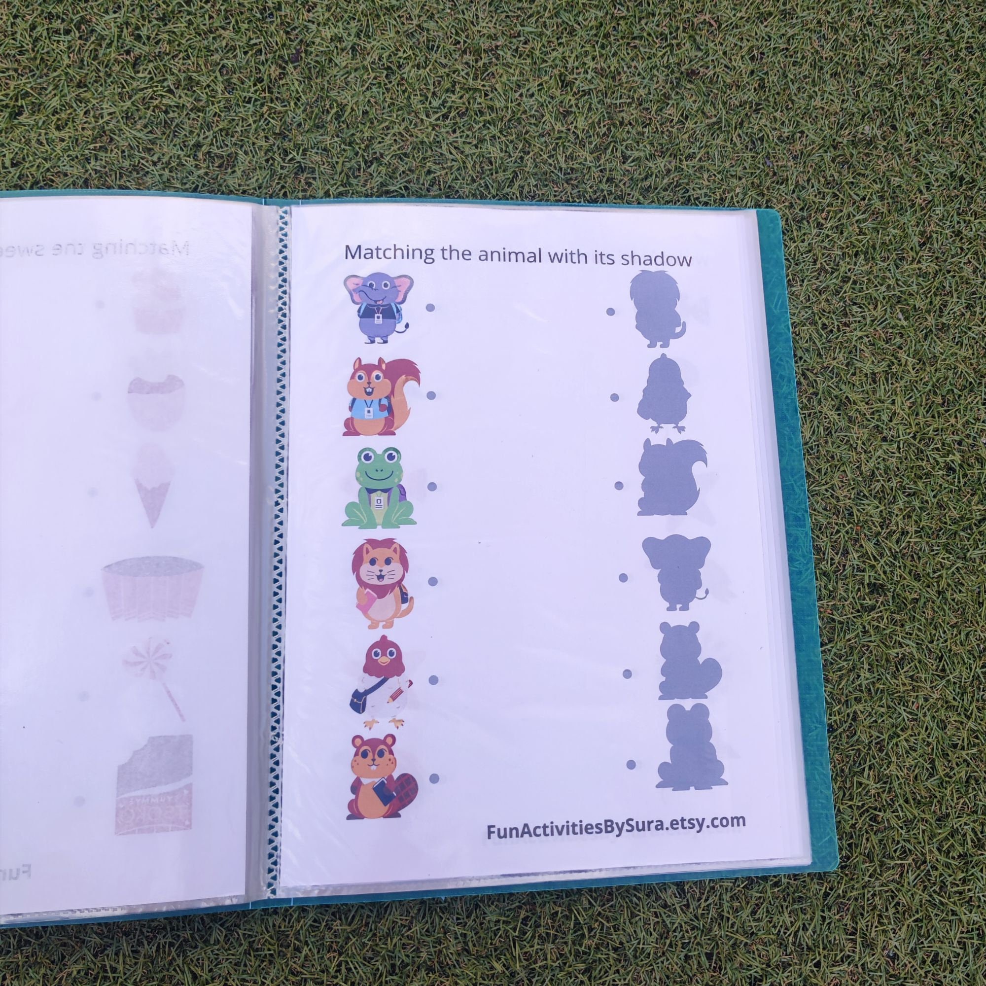 Shadow Matching Printable Activity Book, Busy Activity Binder, Shapes ...