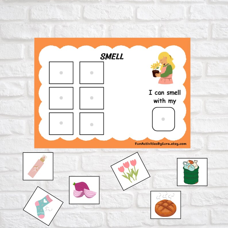 Five Senses Sorting Activity Printable, 5 Senses Sorting, Homeschool ...
