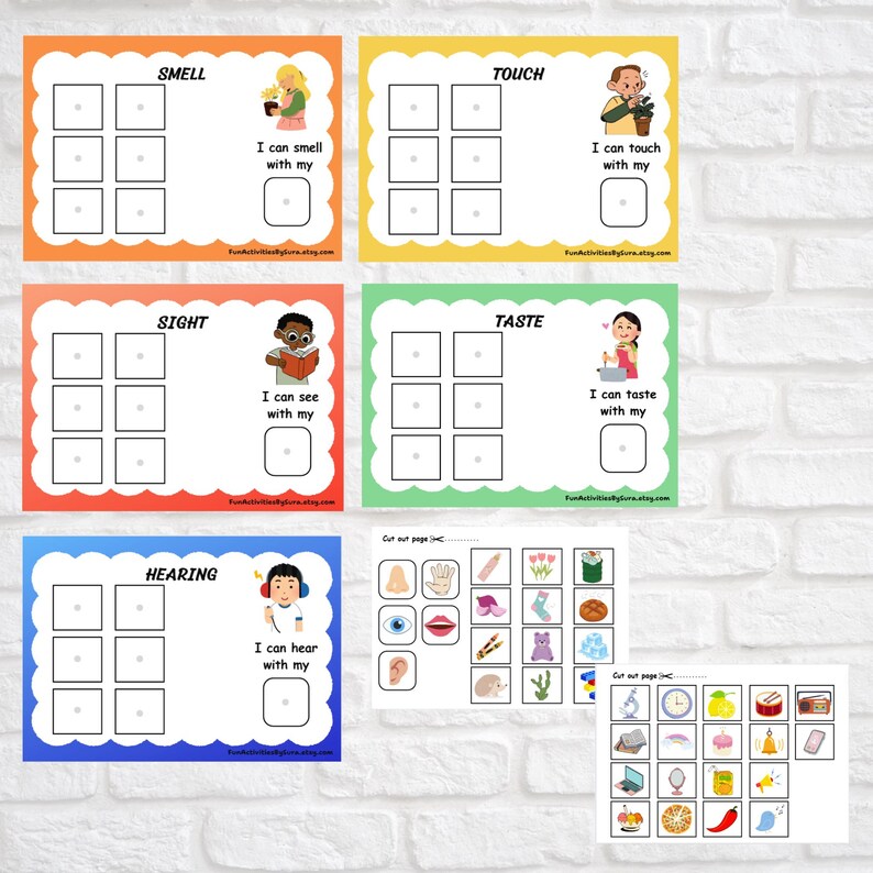 Five Senses Sorting Activity Printable, 5 Senses Sorting, Homeschool ...