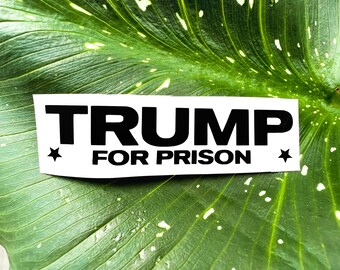 Trump Prison Decal - Etsy