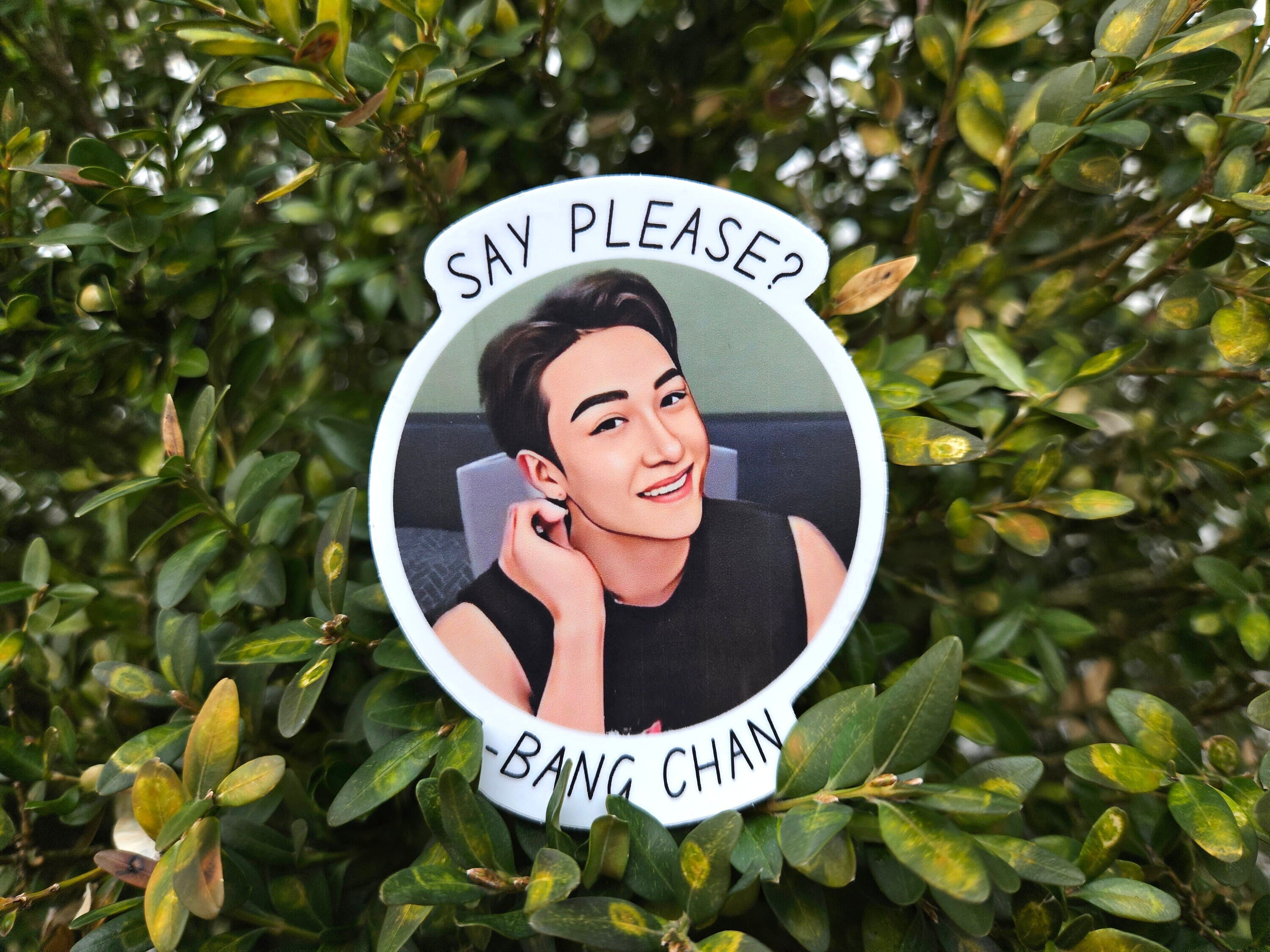 CHAN say Please Sticker / Stray Kids Laptop Decal - Etsy